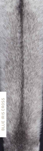 Natural Mink Colors | AVANTI Furs | Blackglama Fur